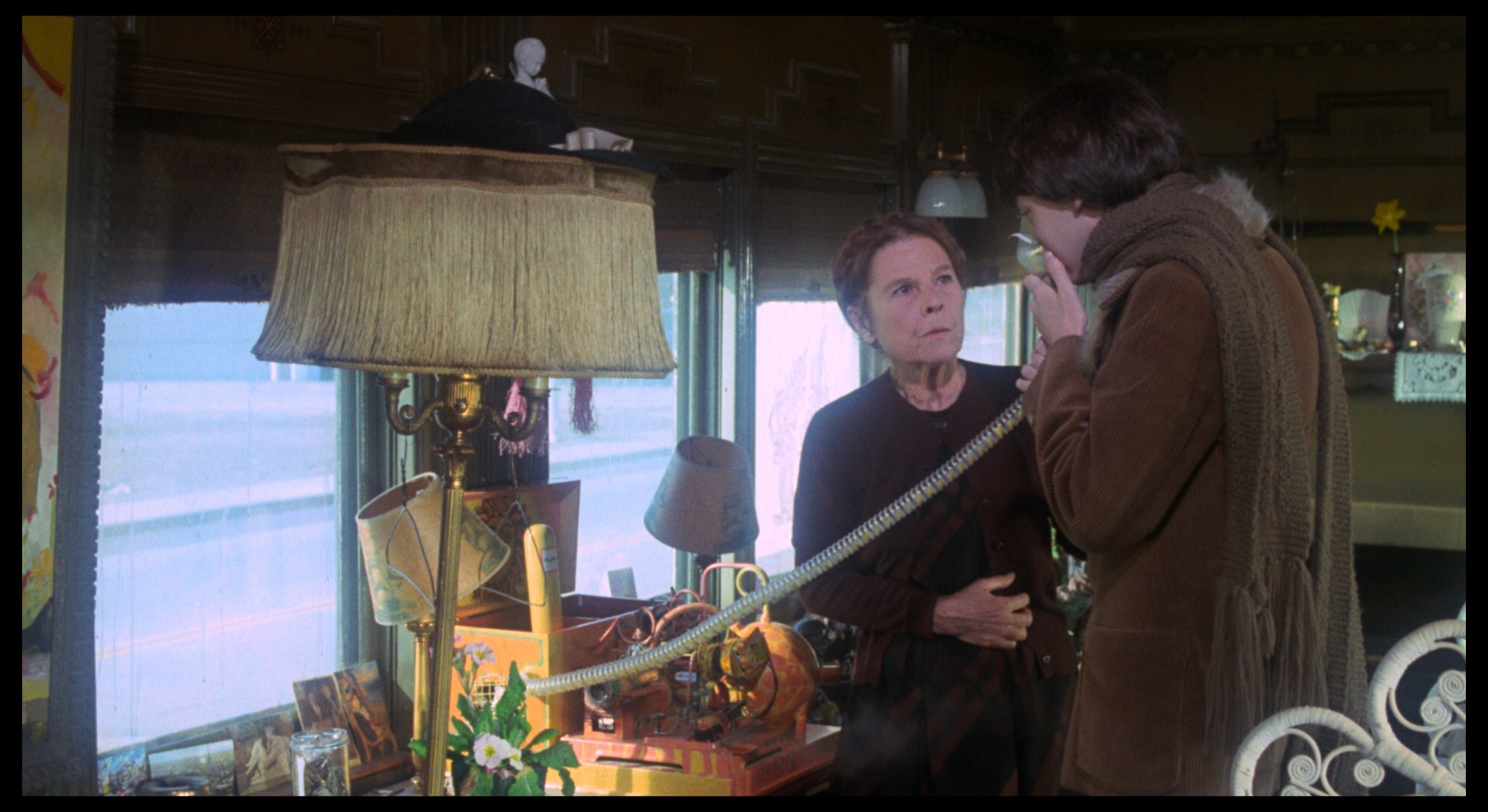 Harold and Maude: Hal Ashby’s Bittersweet Sensorium - Day For Night